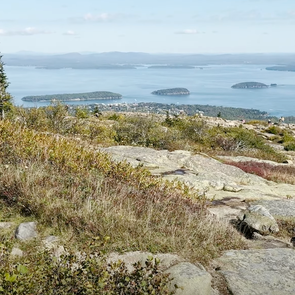 Nature Niche Nature Gifts and Supplies Store