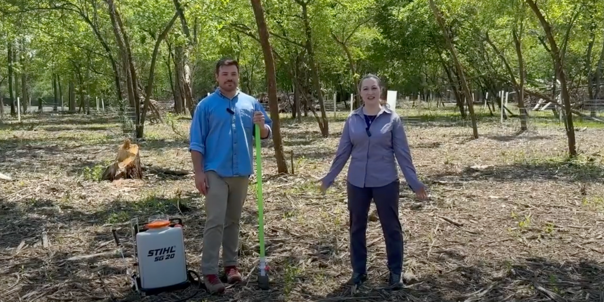 Mondays with Martha #208 - Central Michigan CISMA (Cooperative Invasive ...