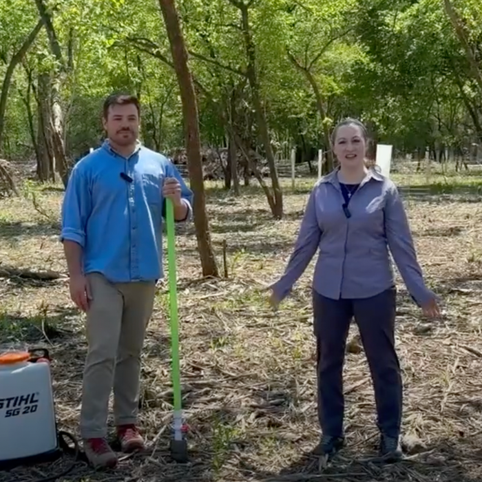 Mondays with Martha Weekly Environmental Education Videos — Nature Niche