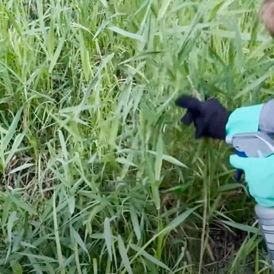 Nature Niche Nature Gifts and Supplies Store