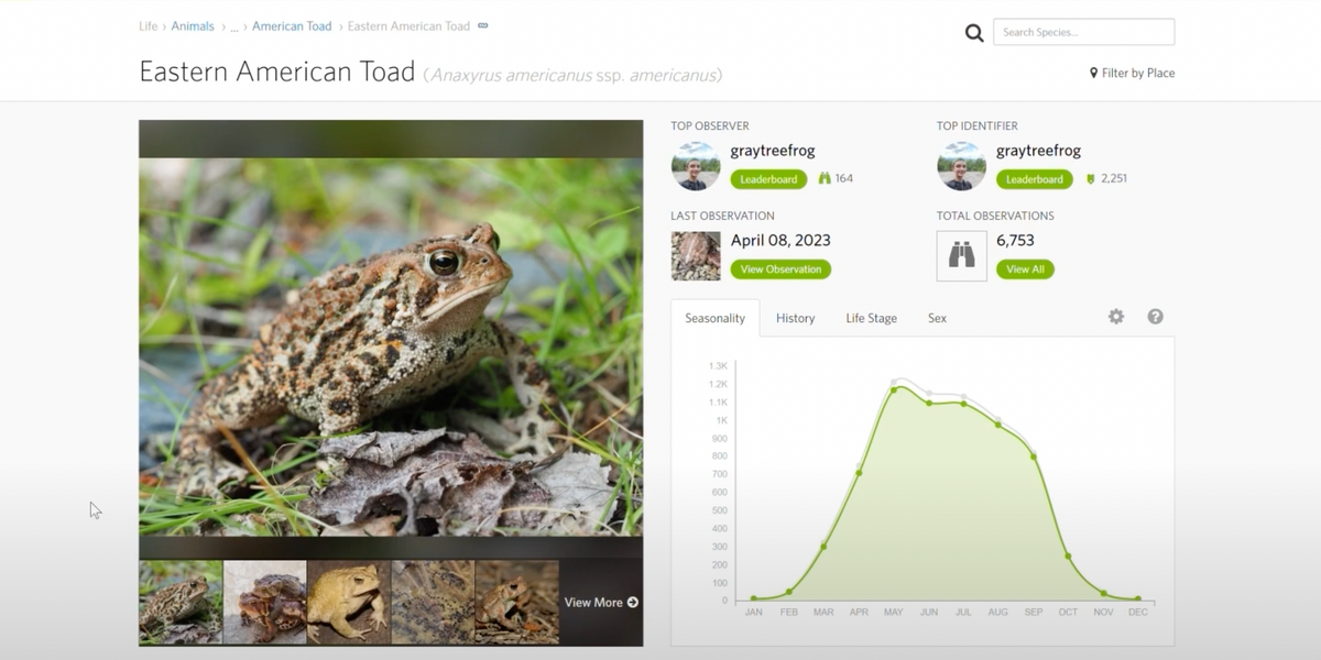 Mondays with Martha #150 - Frog and Toad Calls — Nature Niche