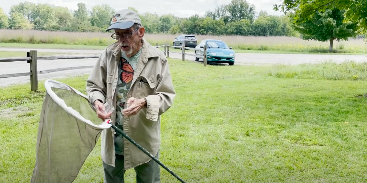 Mondays with Martha #172 - How to Use a Butterfly Net — Nature Niche