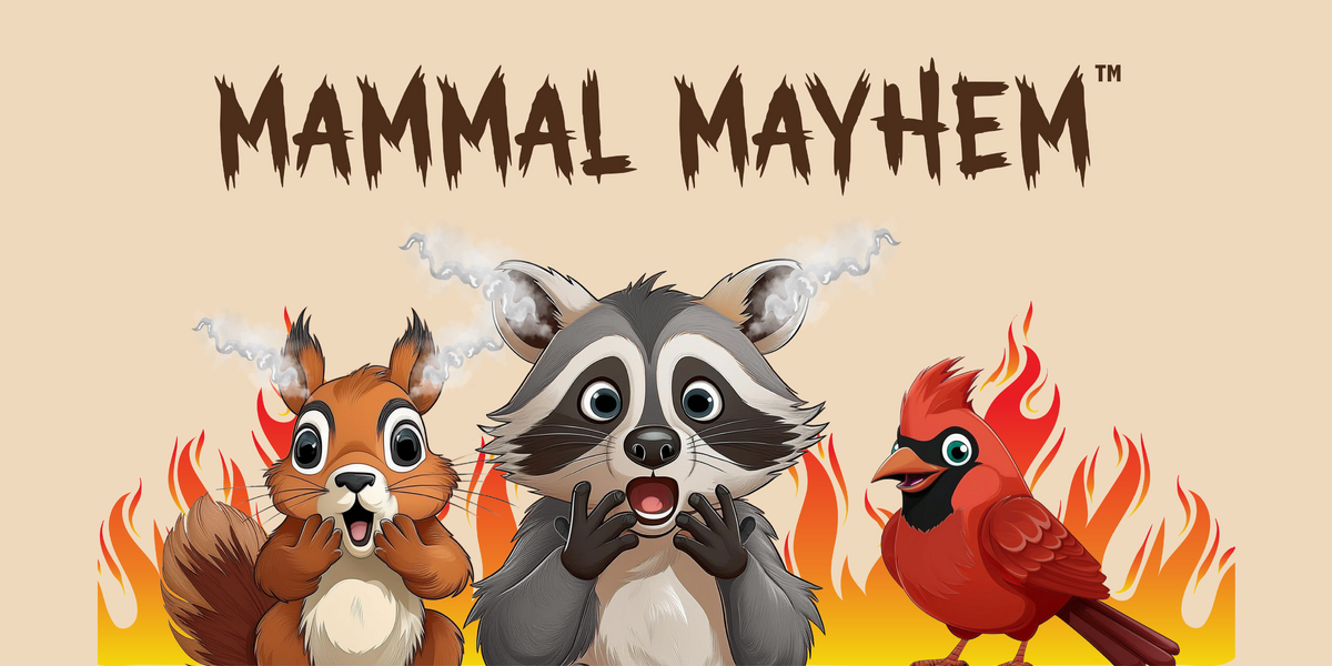 Mondays with Martha #221 - Introducing Mammal Mayhem — Nature Niche