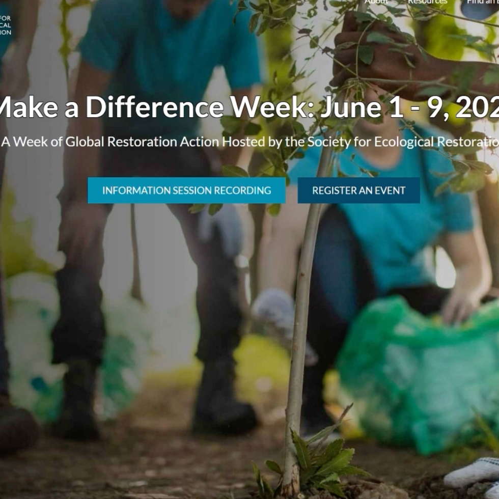 Nature Niche Nature Gifts and Supplies Store