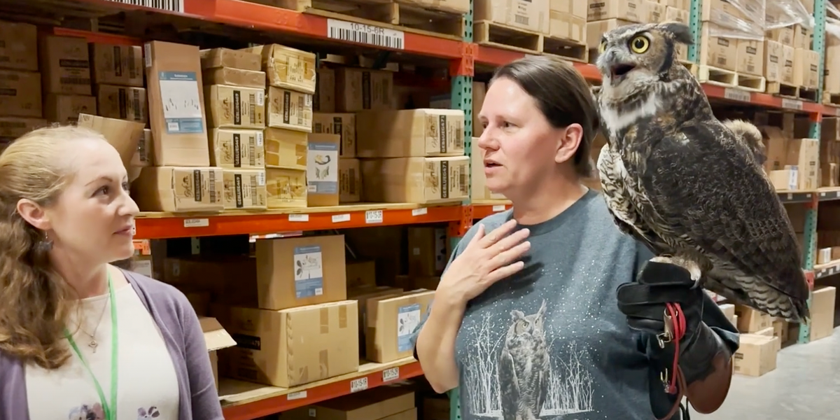 Mondays with Martha #179 - University of Missouri Raptor Rehabilitation ...