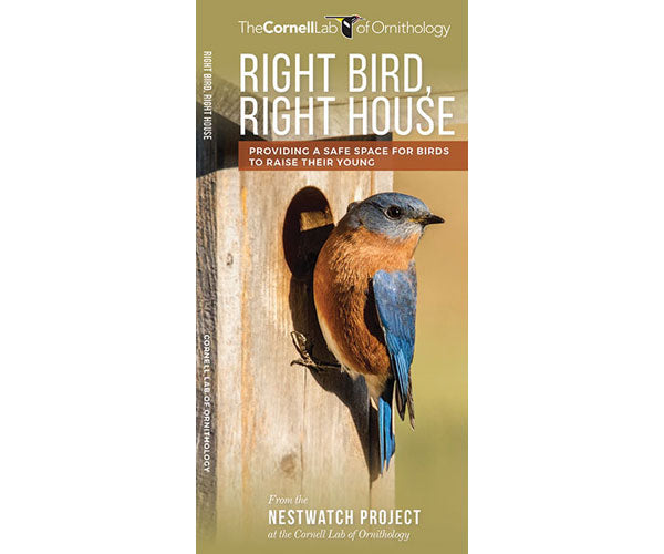 Guides and Books for birds, insects, bats and butterflies — Nature Niche