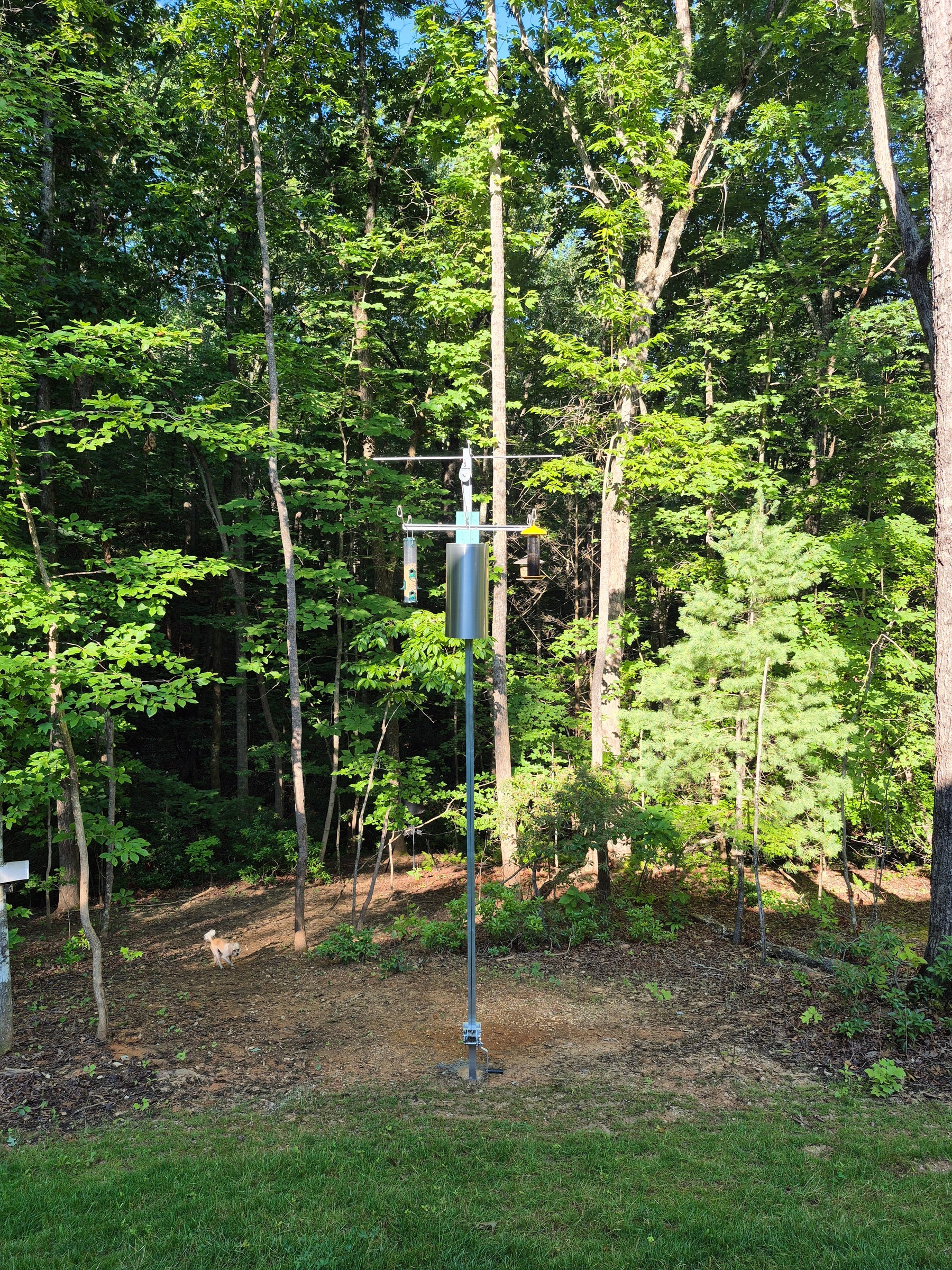 Bear-Resistant Aerial Feeding Station — Nature Niche