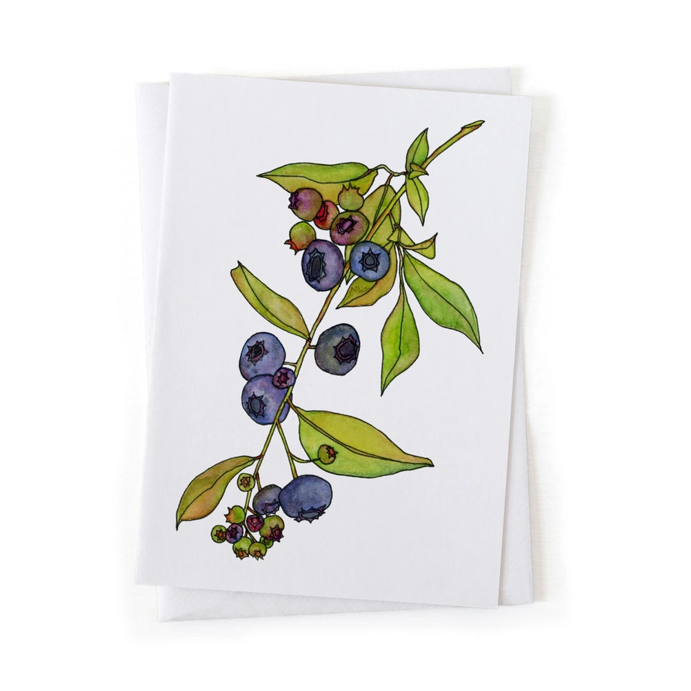 Blueberry Branch Orchard Fruit Garden Botanical 5x7 Card — Nature Niche