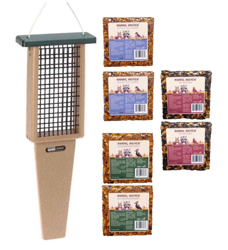 Double Suet Cake Feeder with Spicy Seed Cakes Included — Nature Niche