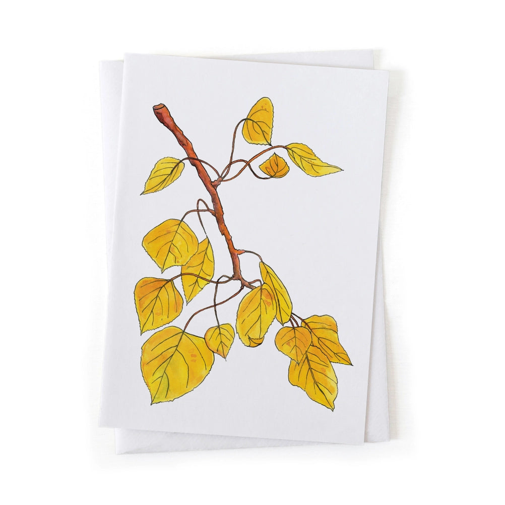 Quaking Aspen Tree Fall Leaves Botanical Card — Nature Niche