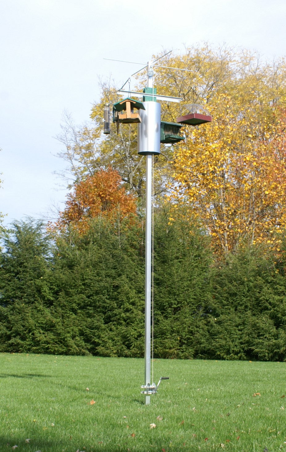 Bear-Resistant Aerial Feeding Station — Nature Niche