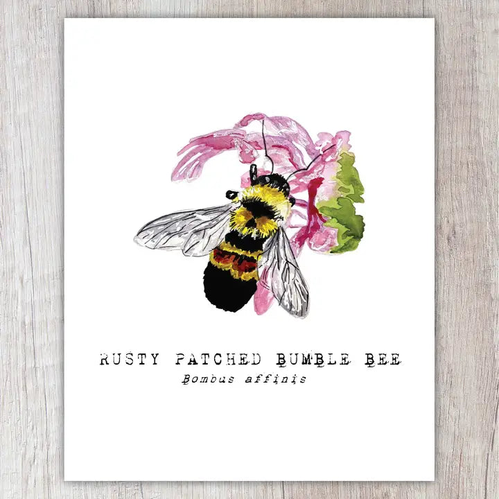 Rusty Patch Bumblebee Note Card — Nature Niche