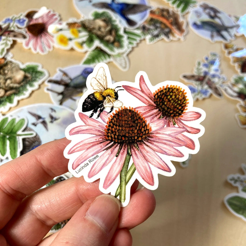 Vinyl Sticker - Bumble Bee with Purple Coneflower — Nature Niche