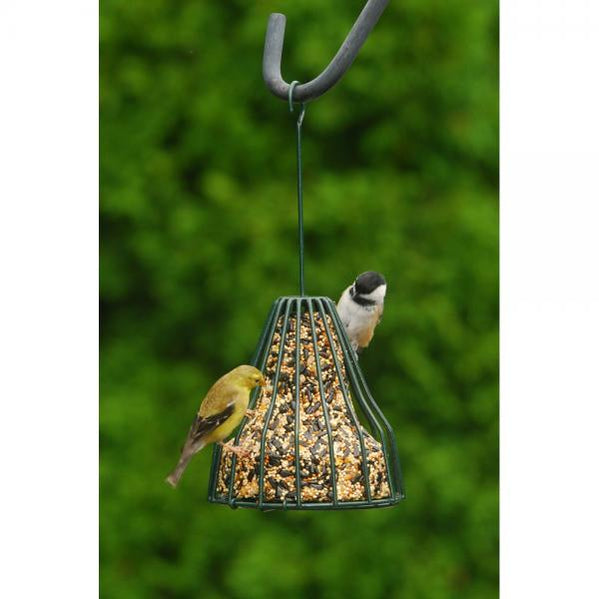 Bird Houses - High quality and made in the USA — Nature Niche