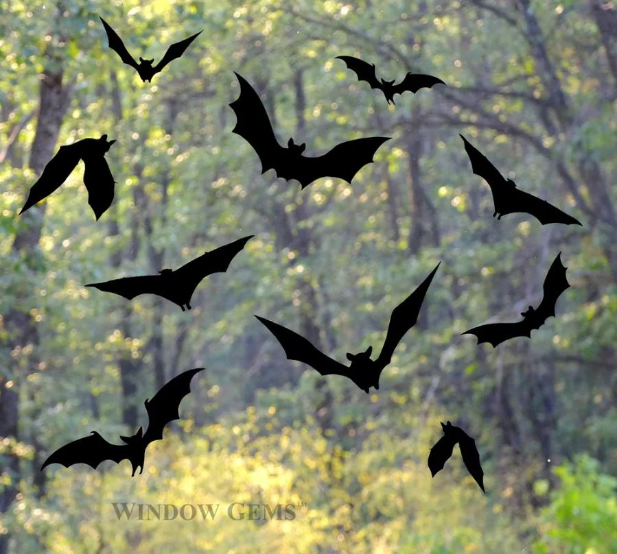Bat Decals - Keep birds away from your windows — Nature Niche