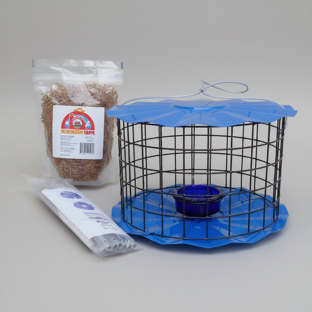 Bluebird Banquet Bundle — Nature Niche