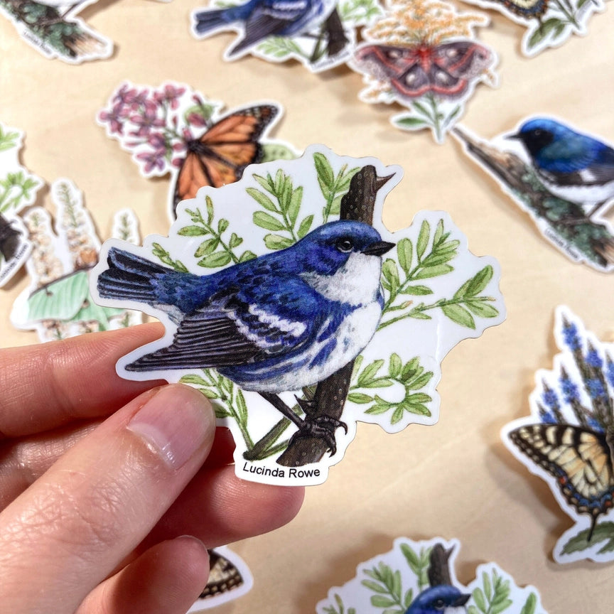 Vinyl Sticker - Cerulean Warbler — Nature Niche
