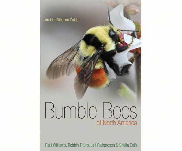Bumble Bees of North America — Nature Niche