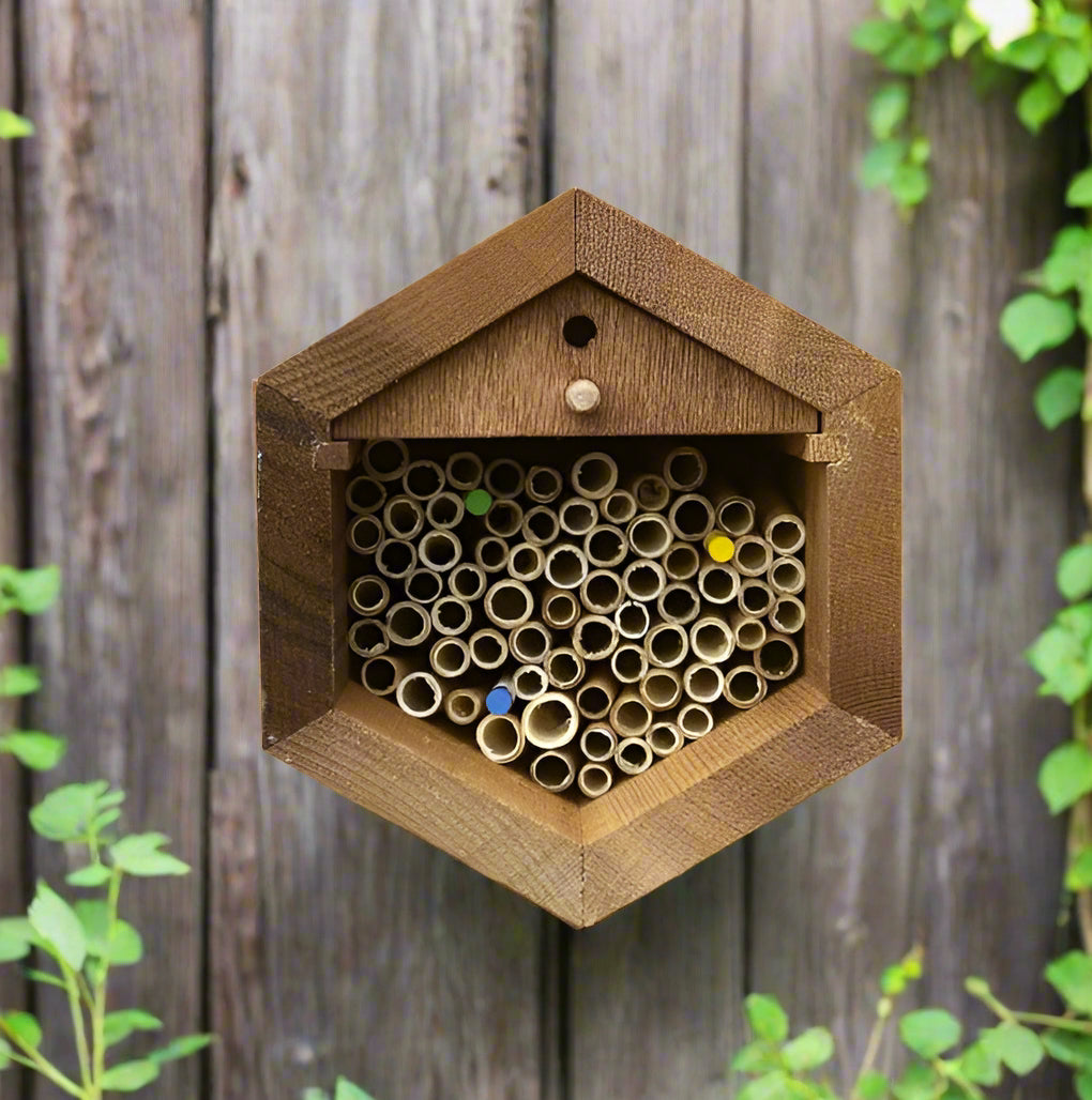 Cabana Bee House — Nature Niche