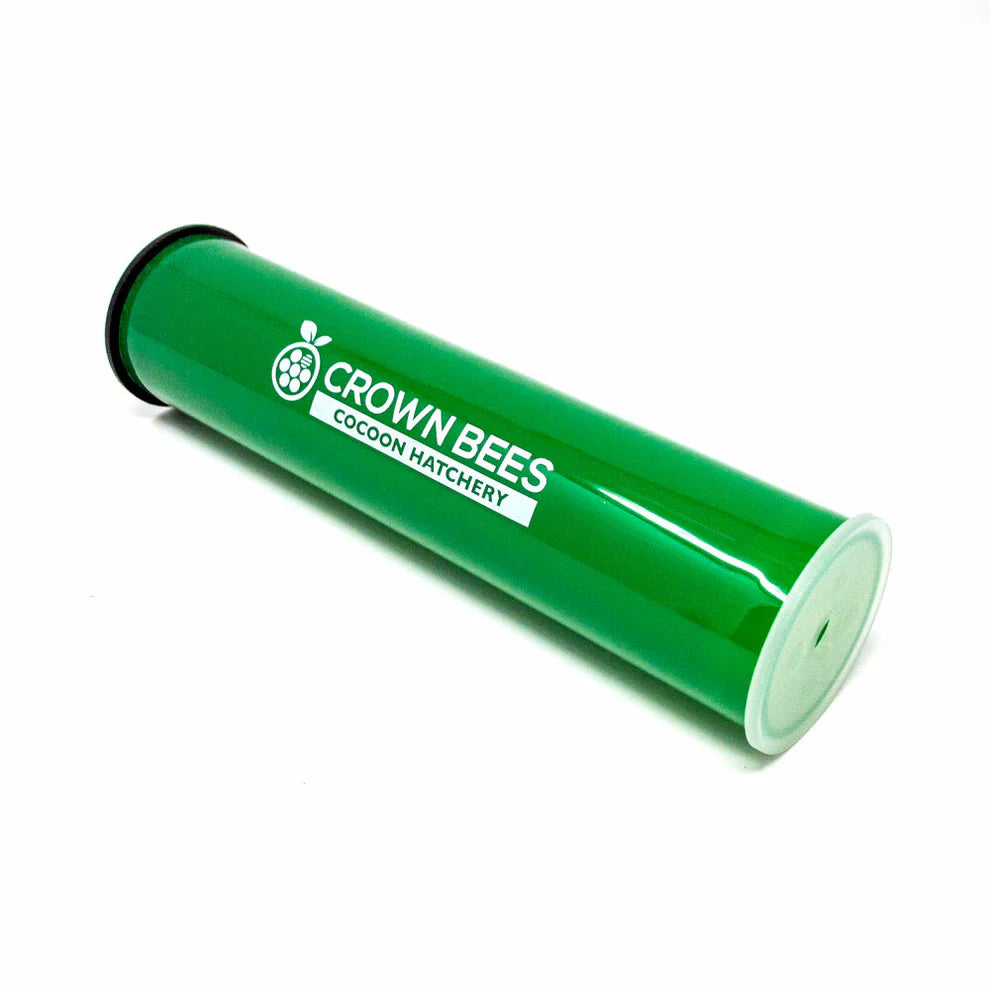 Bee Cocoon Hatchery™ - Bee Green Tube — Nature Niche