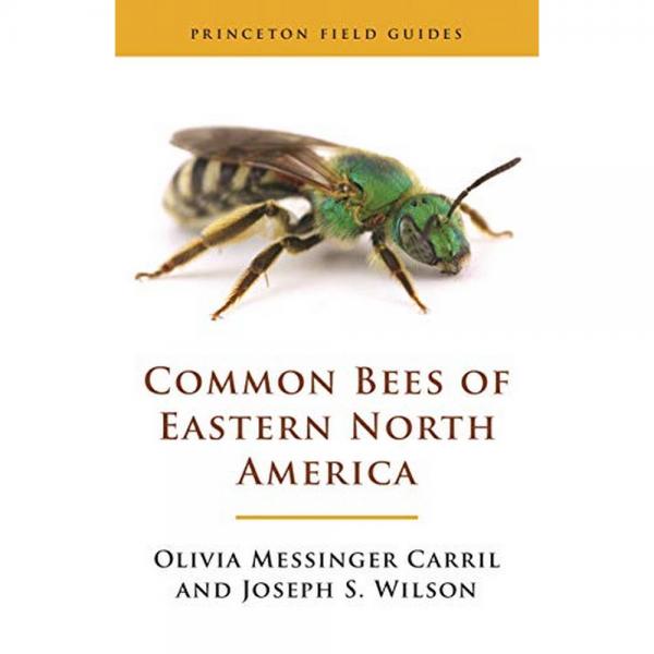 Common Bees of Eastern North America Book — Nature Niche
