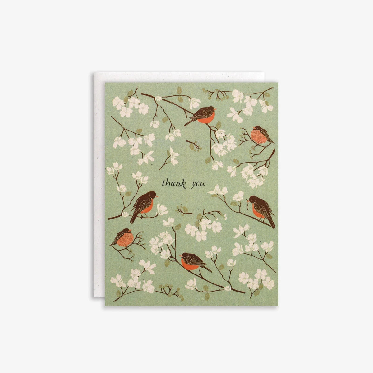 Early Bird Thank You Card - Set of 8 — Nature Niche