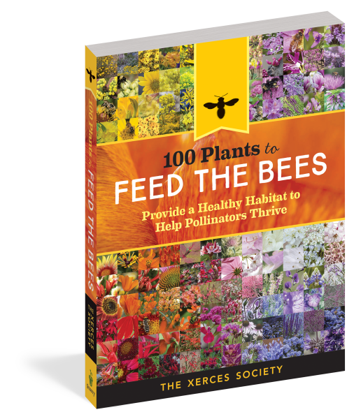 100 Plants to Feed the Bees — Nature Niche