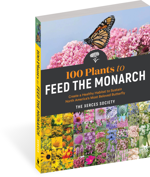 100 Plants to Feed the Monarch — Nature Niche