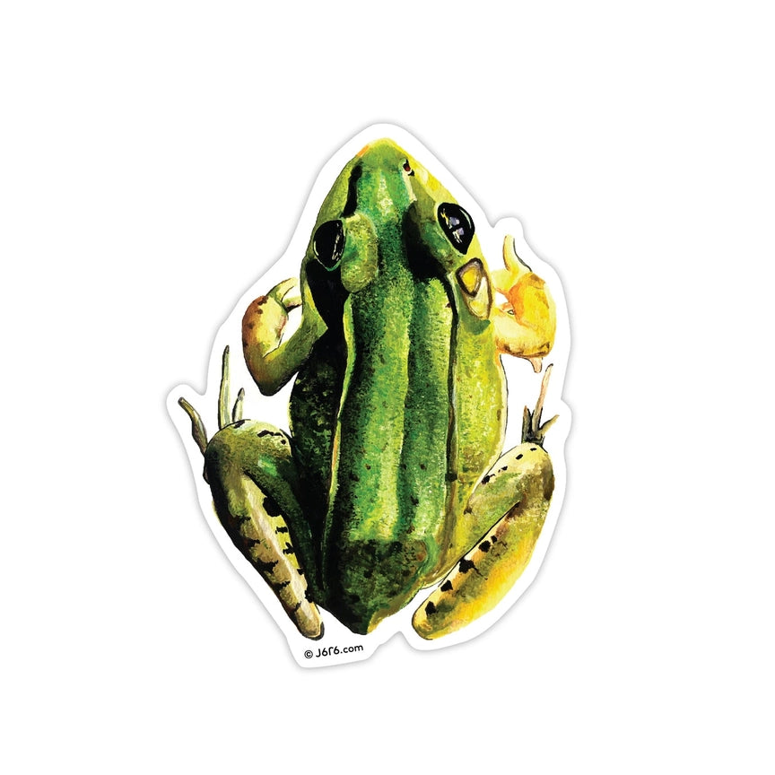 Frog Vinyl Sticker — Nature Niche