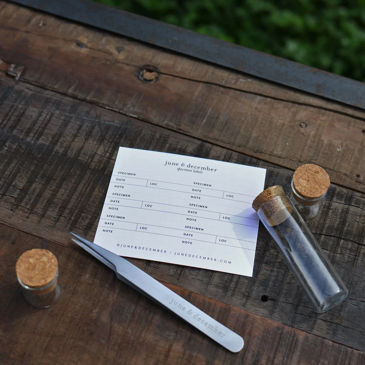 Botanical Specimen Labels — Nature Niche
