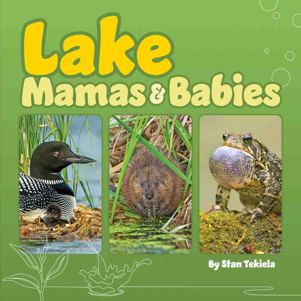 Lake Mamas & Babies — Nature Niche