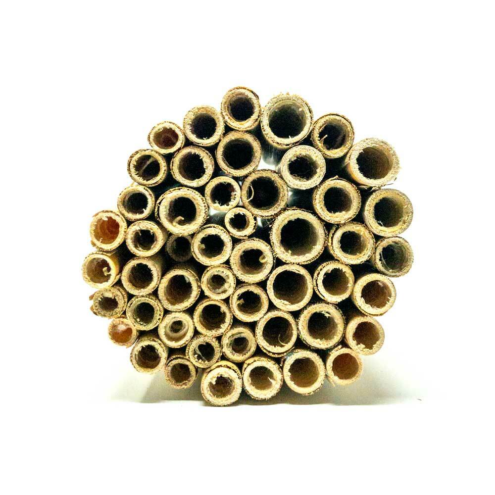 Crown Bees Chalet Bee House Bundle - Dual Season — Nature Niche