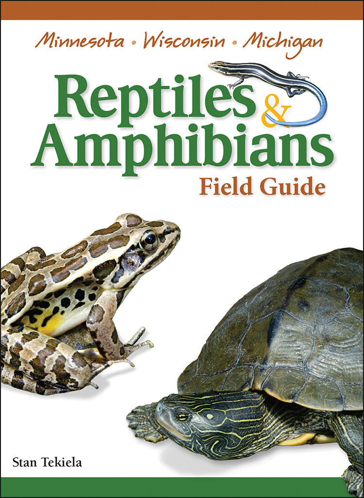 Reptiles & Amphibians of Minnesota, Wisconsin and Michigan Field Guide ...