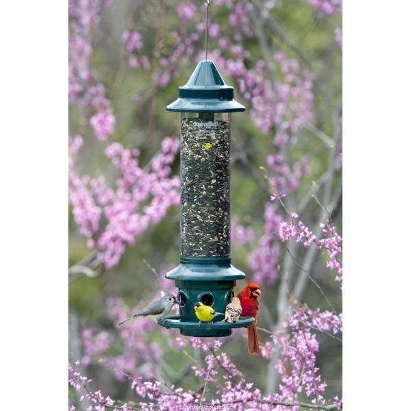 Squirrel Buster Plus Squirrel Proof Feeder — Nature Niche