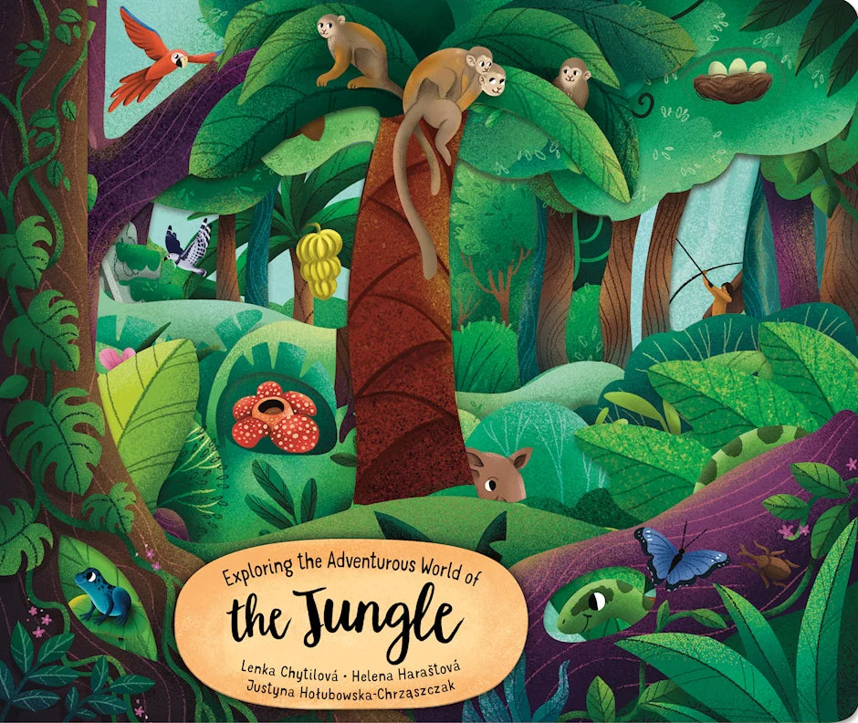 Exploring the Adventurous World of the Jungle - Board Book — Nature Niche