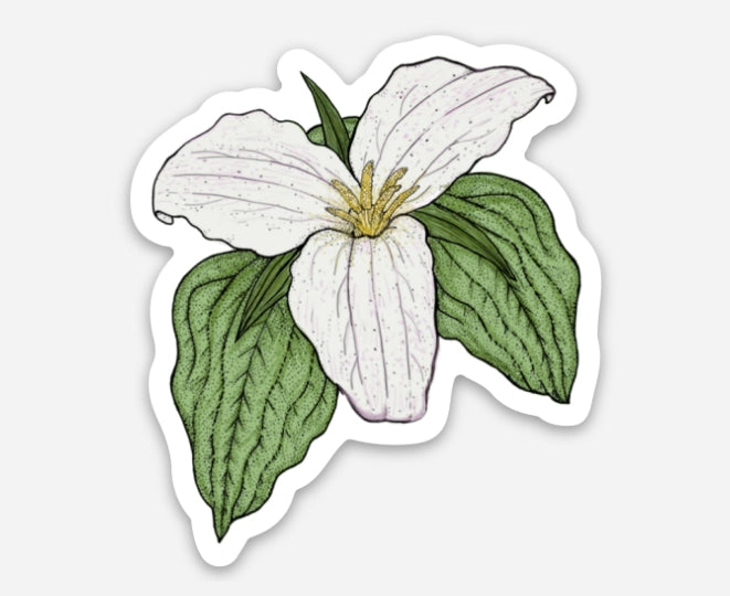 Trillium Sticker Native Wildflower Decal — Nature Niche