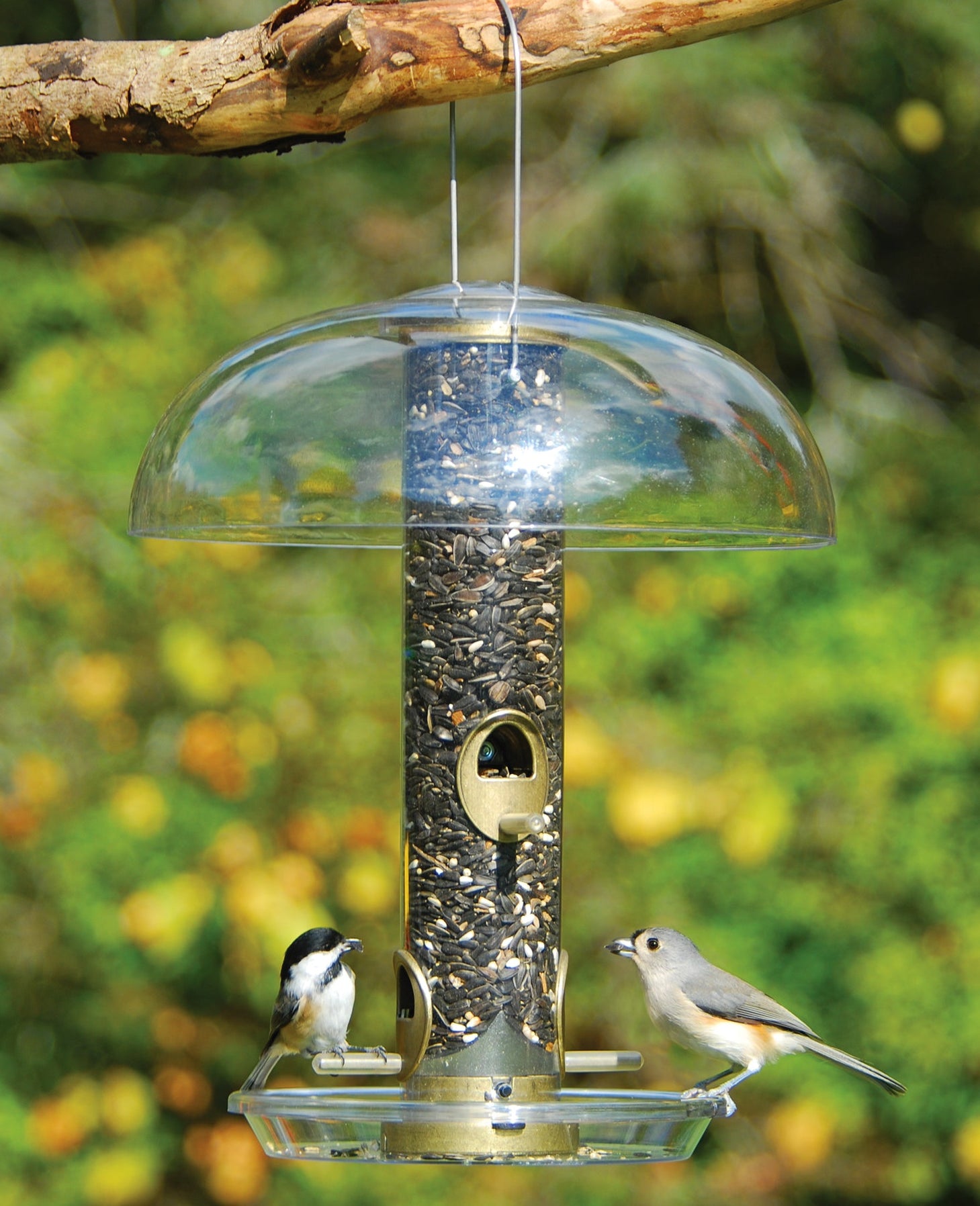 Squirrel Baffles and Guards - Keep the Squirrels Out - USA Made ...