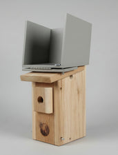 Wren Guard for Slope Roofed Nest Boxes — Nature Niche
