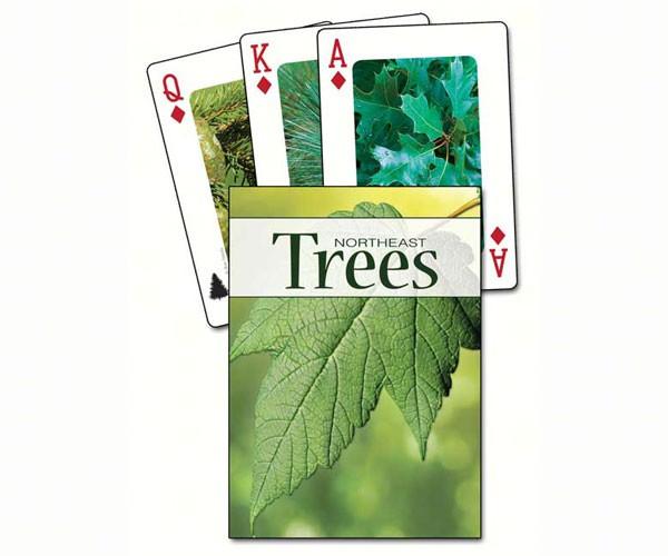 Trees Of The Northeast Playing Cards — Nature Niche