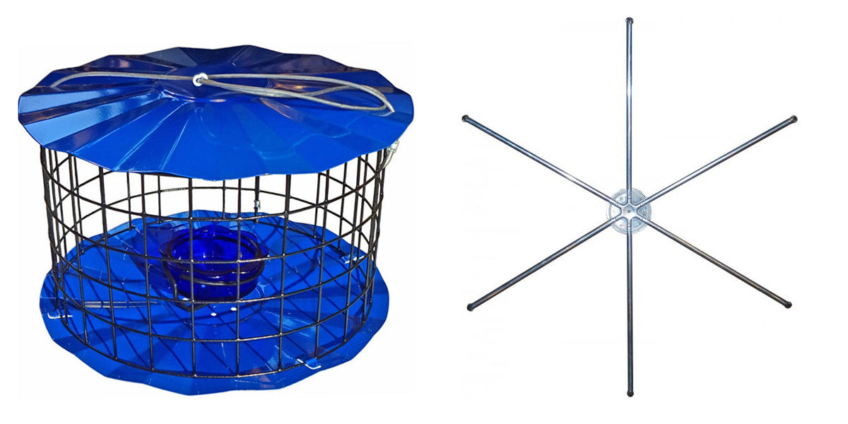 Barrier Guard Bluebird Feeder with Perch - Blue — Nature Niche