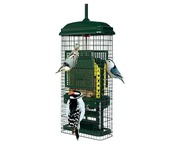 Suet, Cylinder, and Seed Cake Bird Feeders — Nature Niche