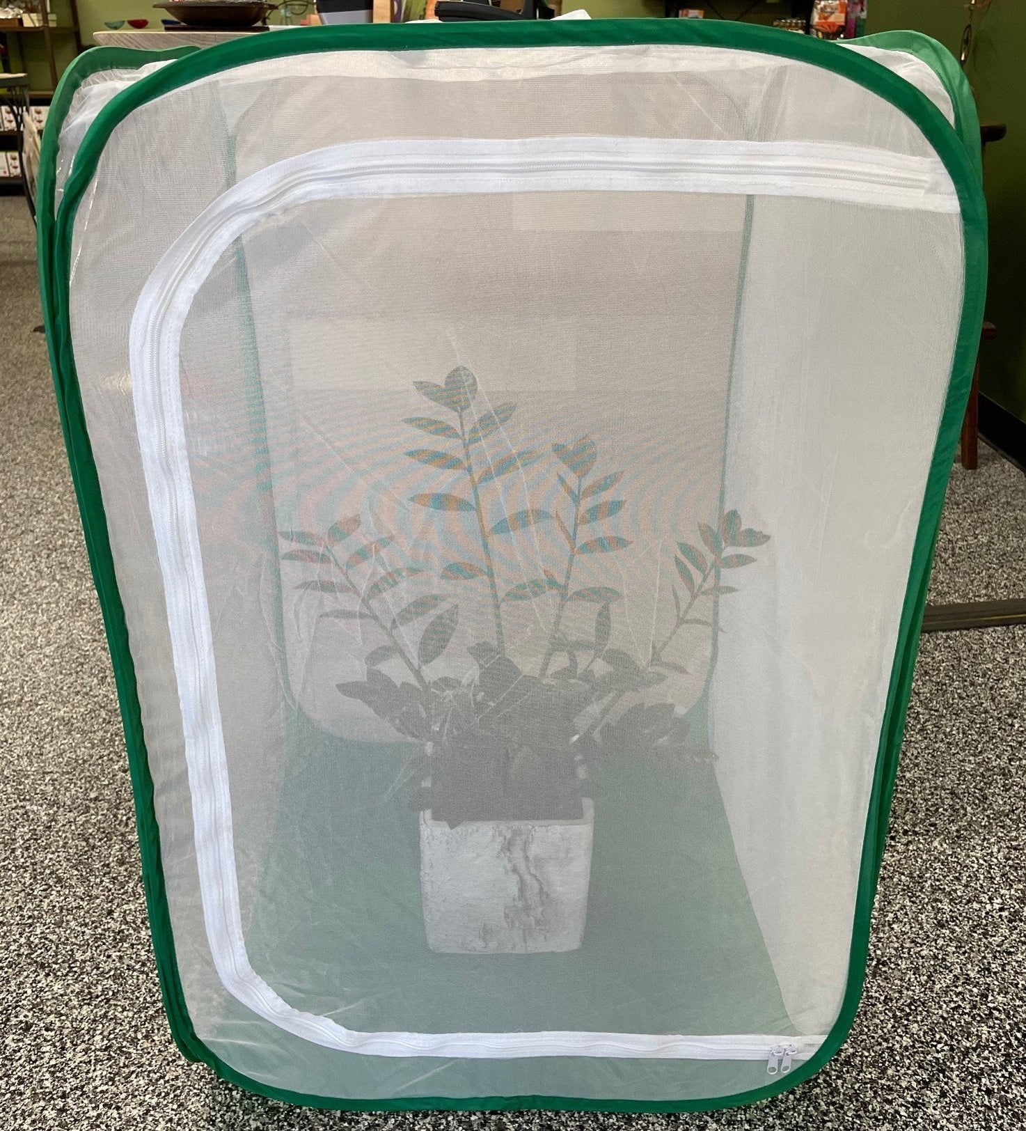 Large Butterfly Habitat - Raise your own butterflies — Nature Niche