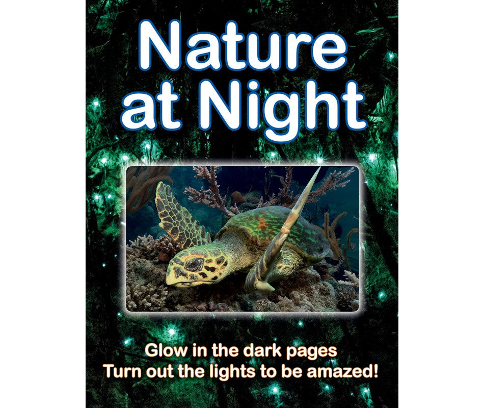 Nature at Night — Nature Niche