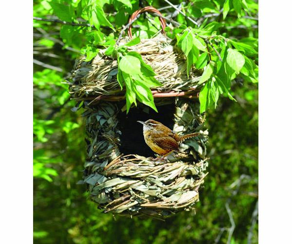 Roosting and Nesting Pockets for wild birds — Nature Niche