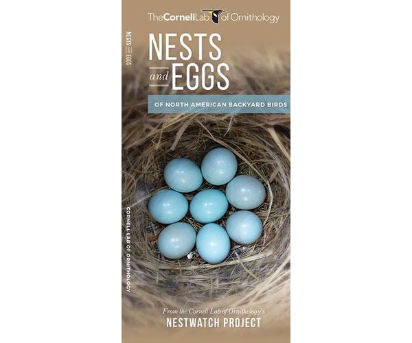 Nests and Eggs of North American Backyard Birds — Nature Niche