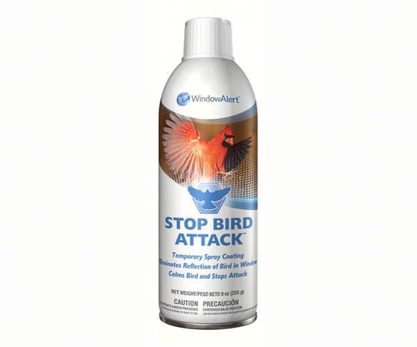 Window Collision Solutions for birds — Nature Niche