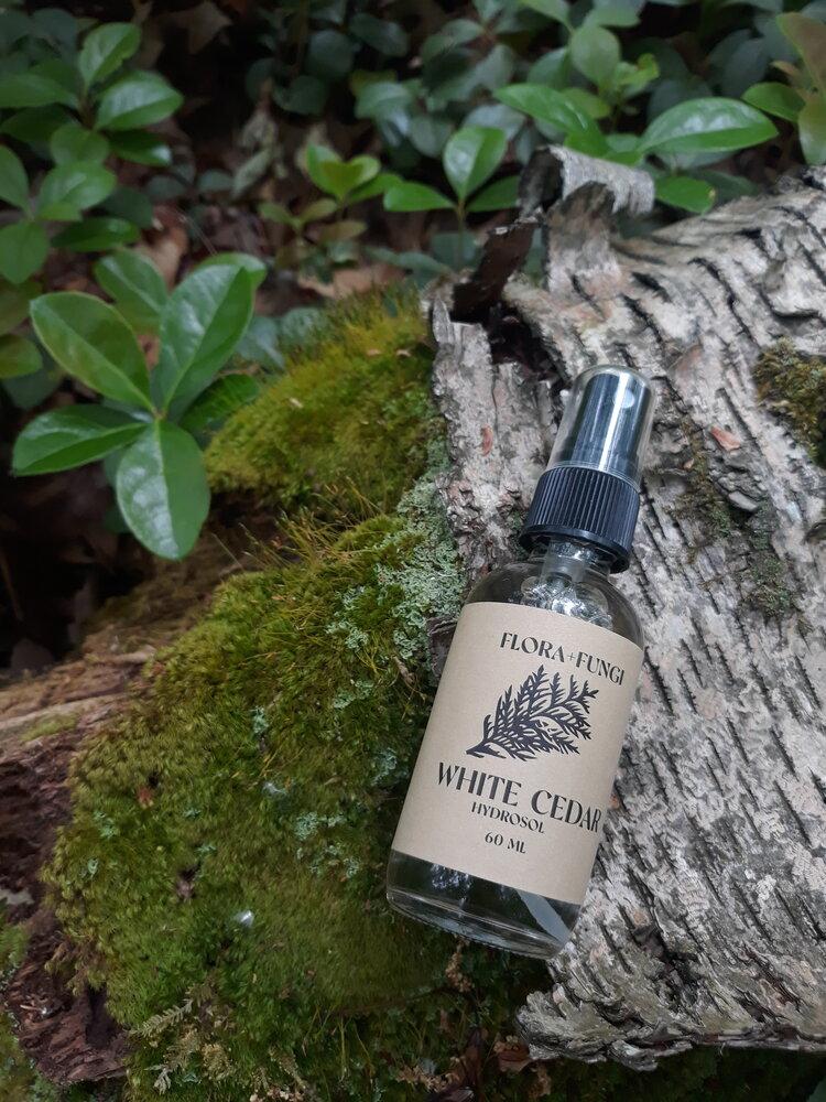 White Cedar Hydrosol - All natural face cleanser — Nature Niche