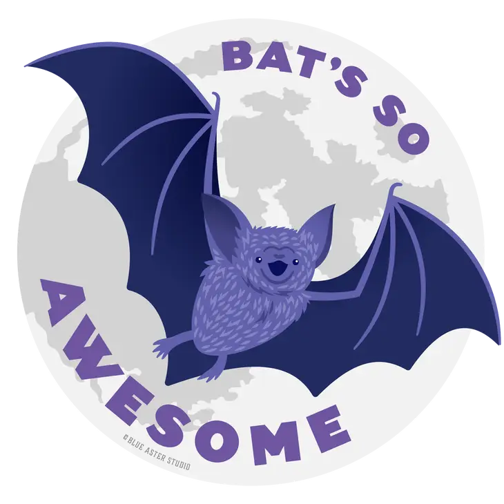 Bat Sticker - Bats so Awesome — Nature Niche