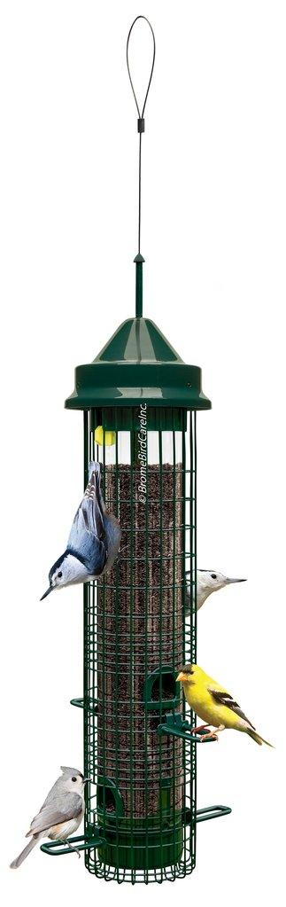 Squirrel Buster Classic — Nature Niche