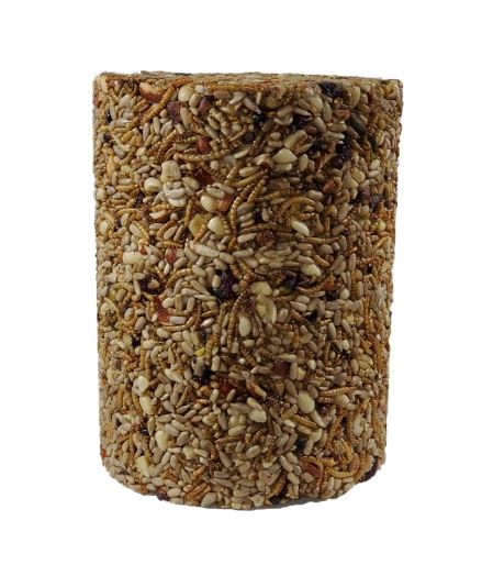 Bugs, Nuts and Berries Seed Cylinder - Large - 3.8 lbs — Nature Niche
